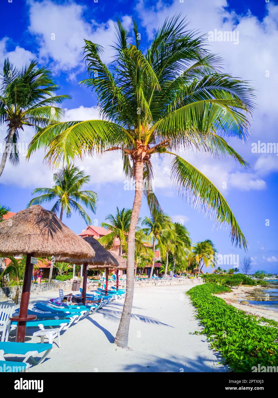 Puerto Aventuras, Mexico. Small resort town located in the Riviera Maya ...