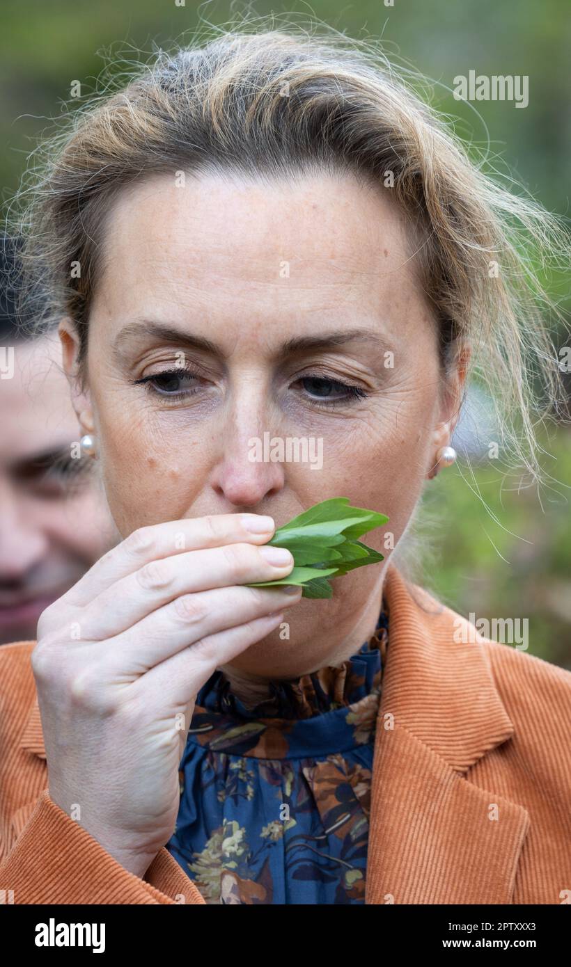 Brussels, Belgium. 28th Apr, 2023. Princess Claire of Belgium pictured ...