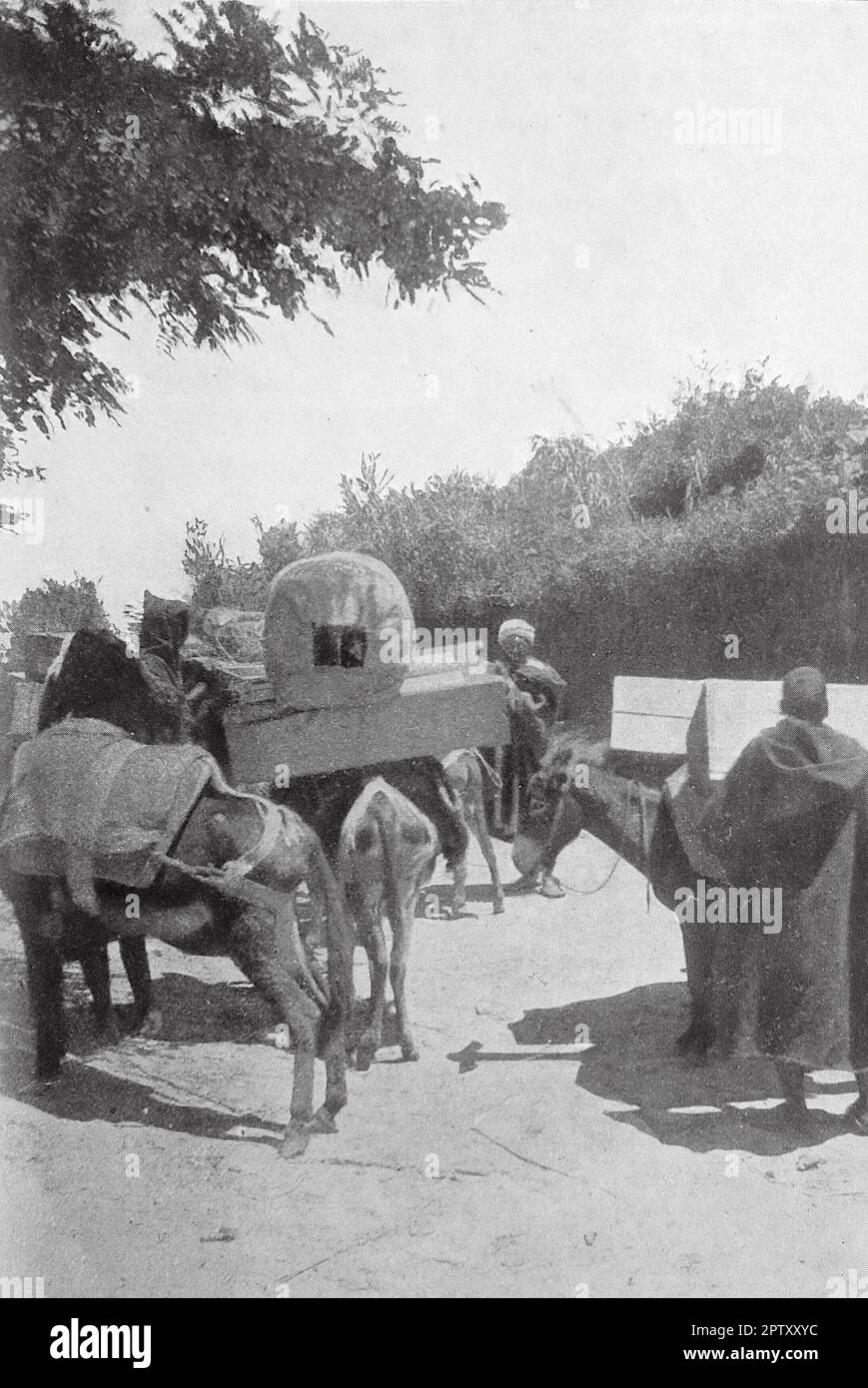 Life in Morocco, Africa, c1905. A Moorish Caravan. Laden donkeys ...