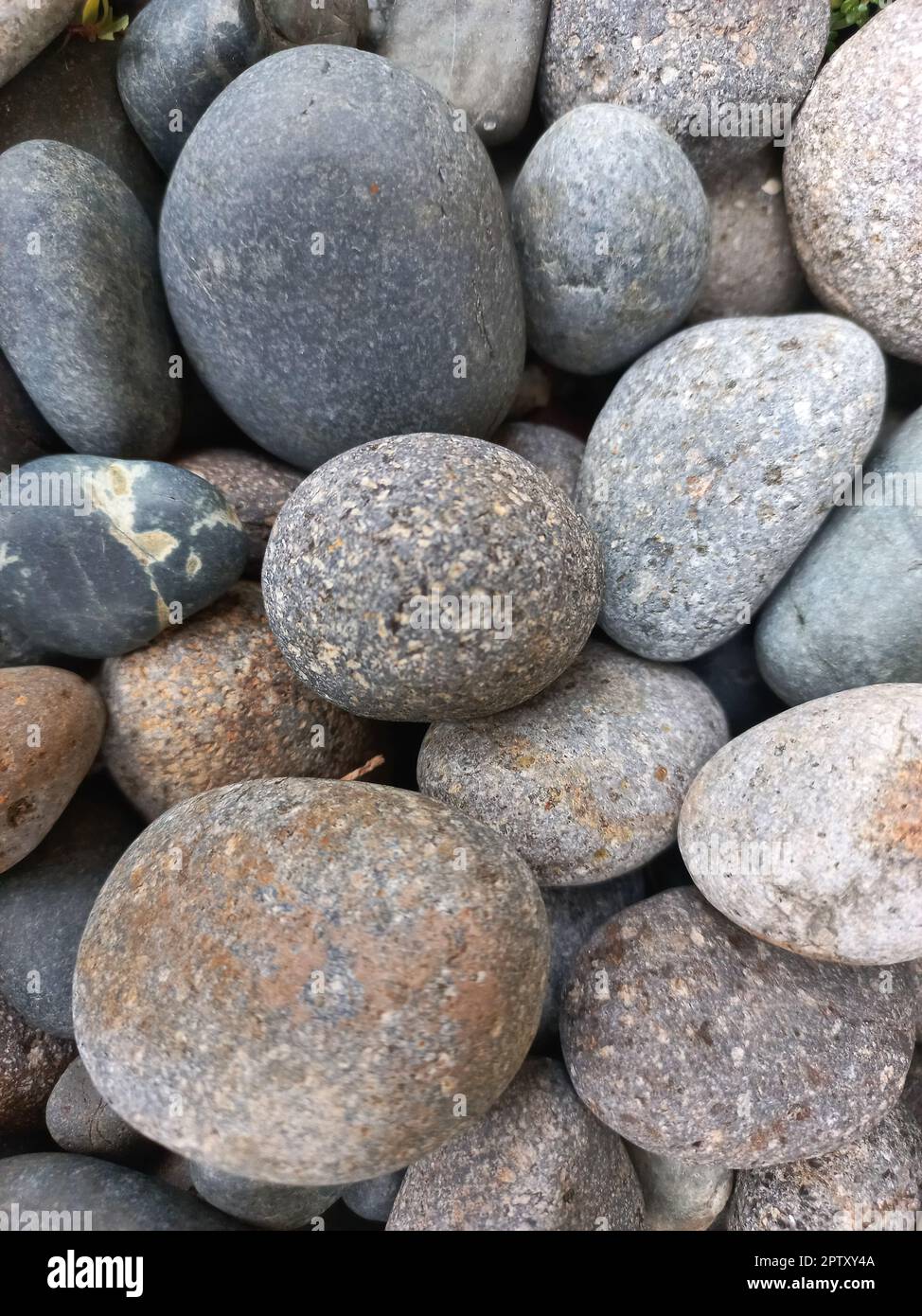 river stone for displaying the terrace of a house in a luxury cluster ...