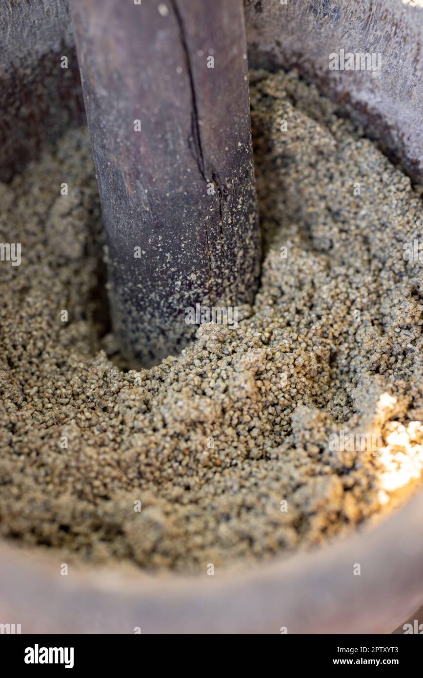 Millet grain is ground into flour using a wooden mortar and pestle in ...
