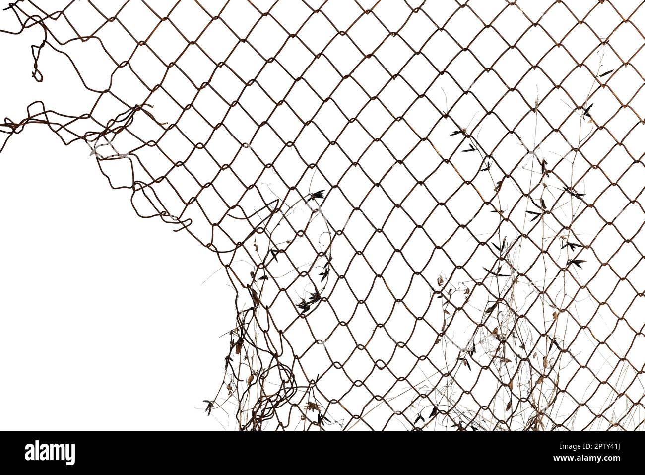 The texture of the metal mesh on a white background. Torn steel, metal ...