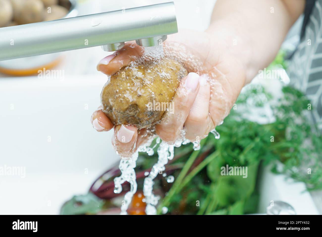 Female hands washing fresh unpeeled potato under tap water jet in kitchen sink closeup. Dirty ...