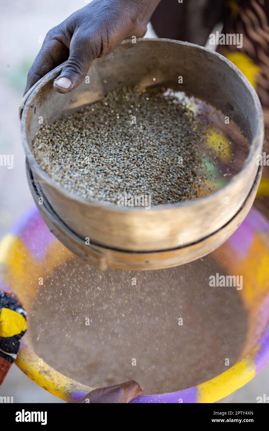 Sifting and washing millet grain harvest in Segou Region, Mali, West ...