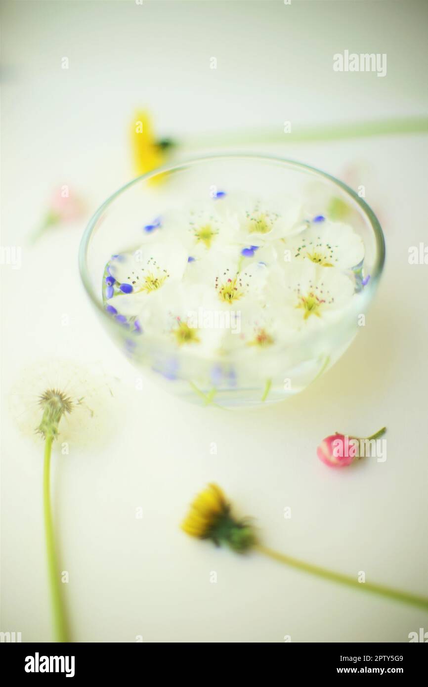 Spring blooming flowers and purple flower seeds floating in a glass ...
