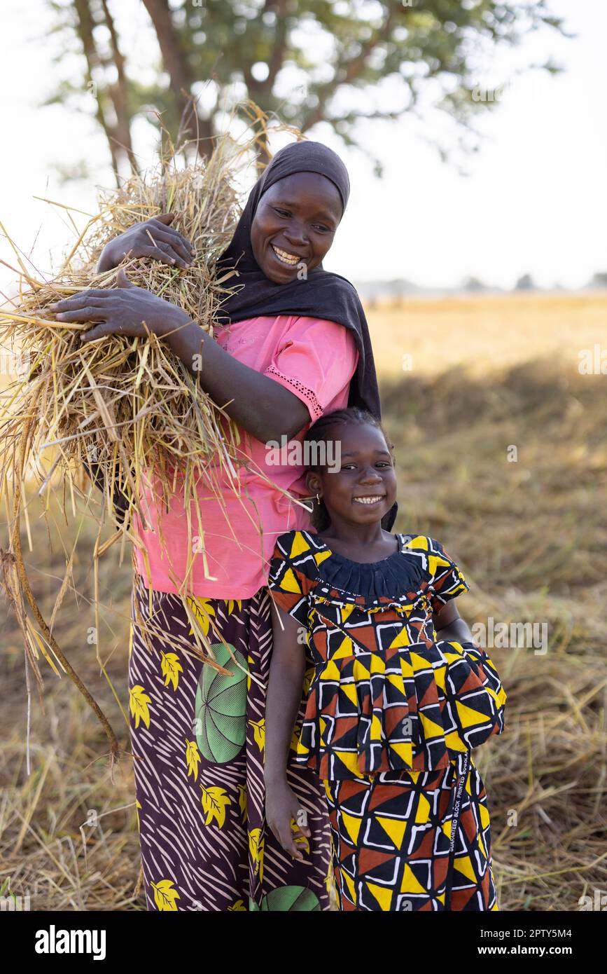 A family work together to harvest rice in their field in rural Segou ...