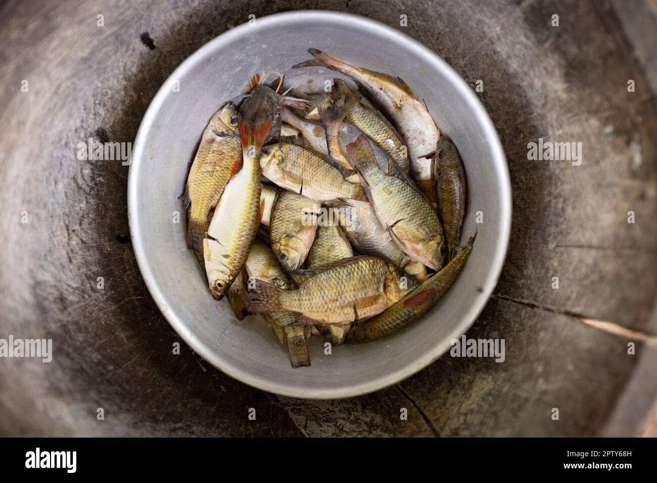 Niger africa drought 2022 hi-res stock photography and images - Alamy