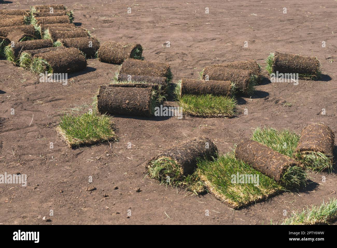 Rolls of lawn grass on a sunny day - country house and landscape design ...