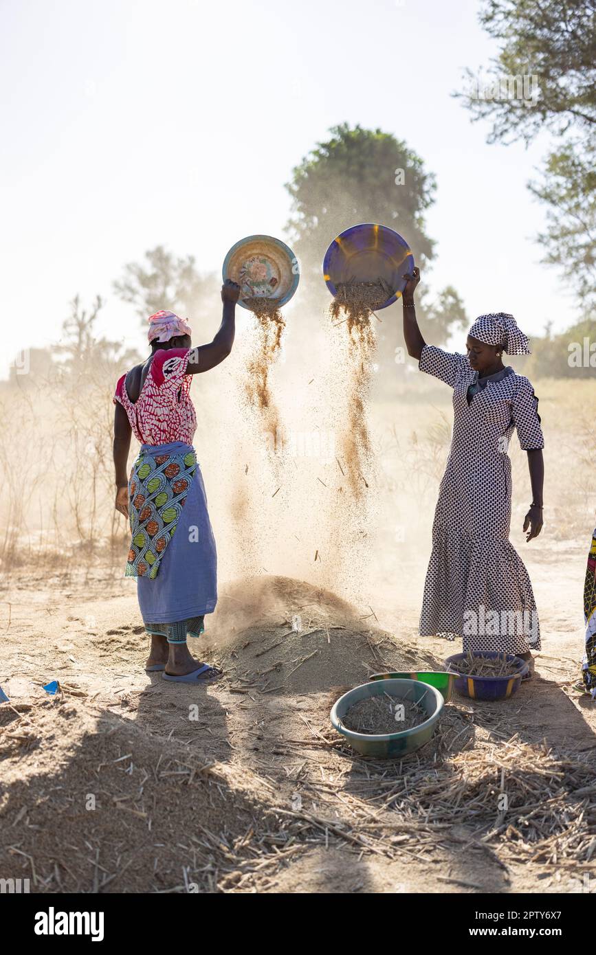 Women millet hi-res stock photography and images - Alamy