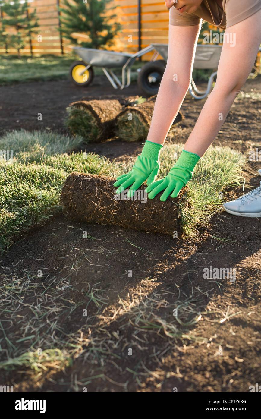 Close up woman laying sod for new garden lawn - turf laying Stock Photo ...