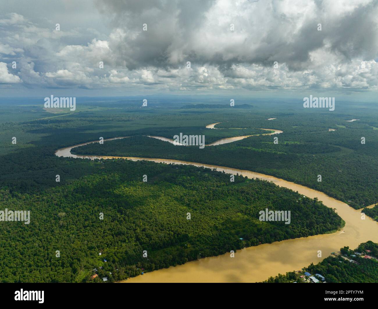 Aerial drone of Kinabatangan river among the rainforest and jungle ...
