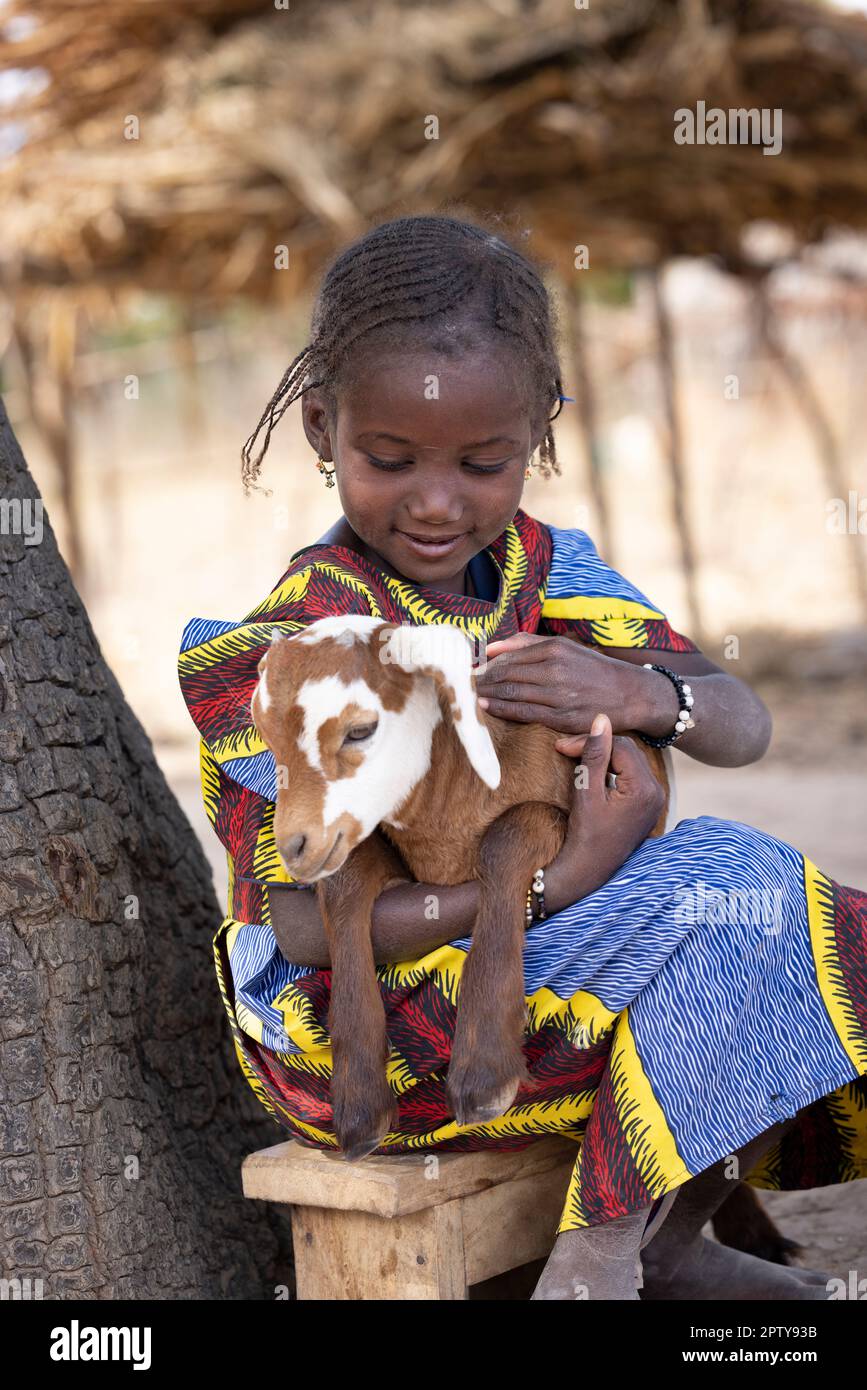 Child holding a goat in her arms in Segou Region, Mali, West Africa ...