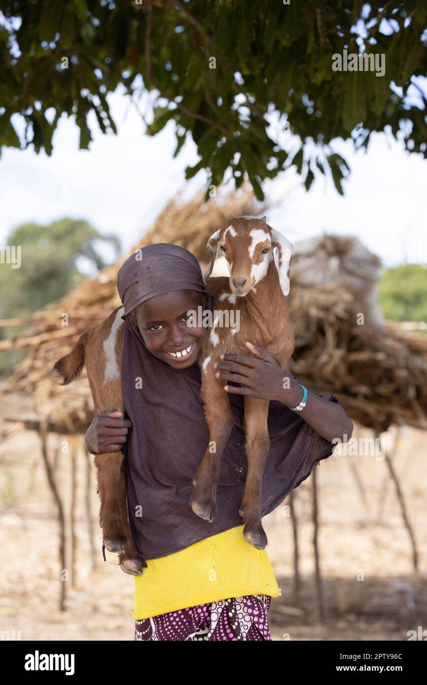 A child holds a goat on her shoulders in Segou Region, Mali, West ...