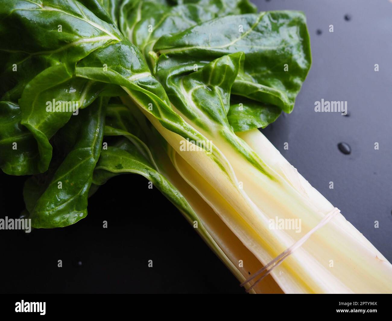 Mangold Beta vulgaris. Biennial herb, a subspecies of common beet ...