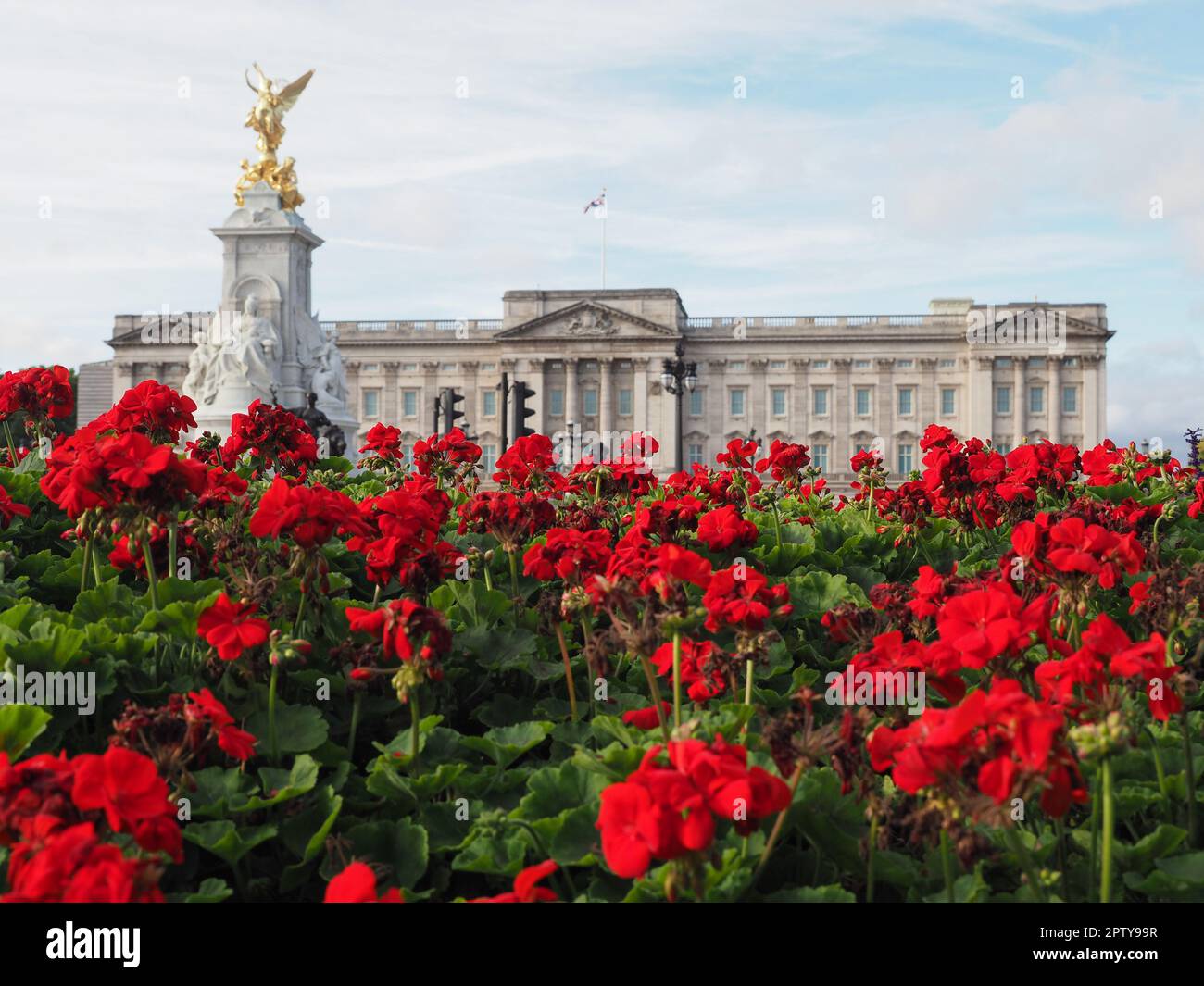 Buckingham Palace royal palace in London, UK Stock Photo - Alamy