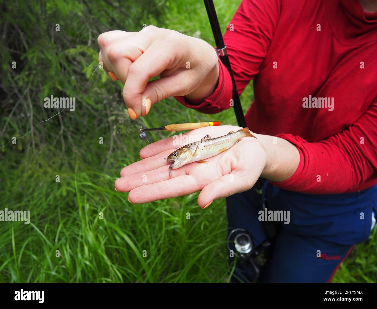A woman holds a trout fry and a fishing rod in her hands. The fish took ...