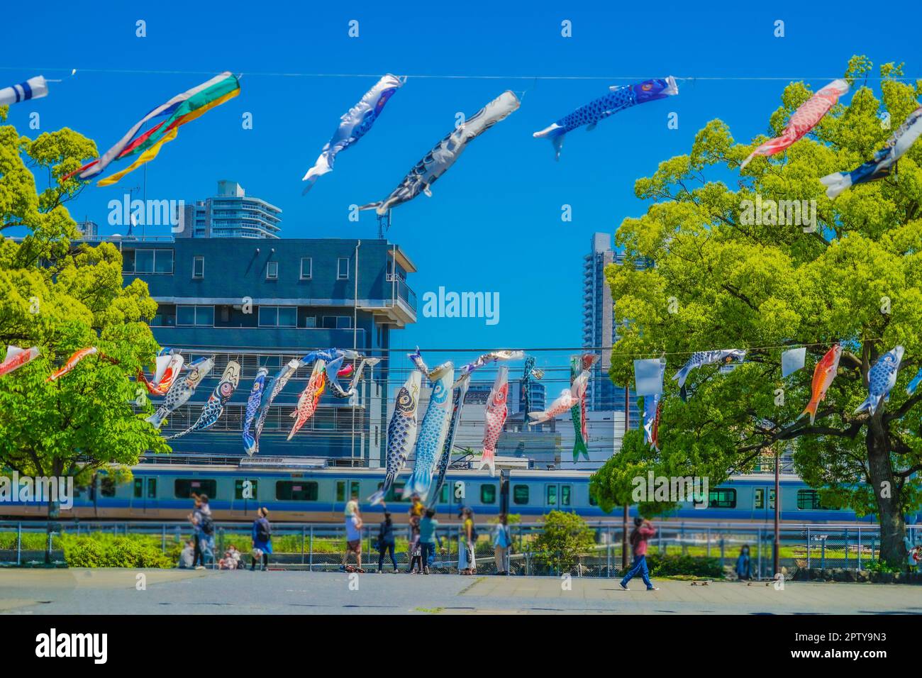Mayburi of May (Motomachi Park). Shooting Location: Yokohama City ...