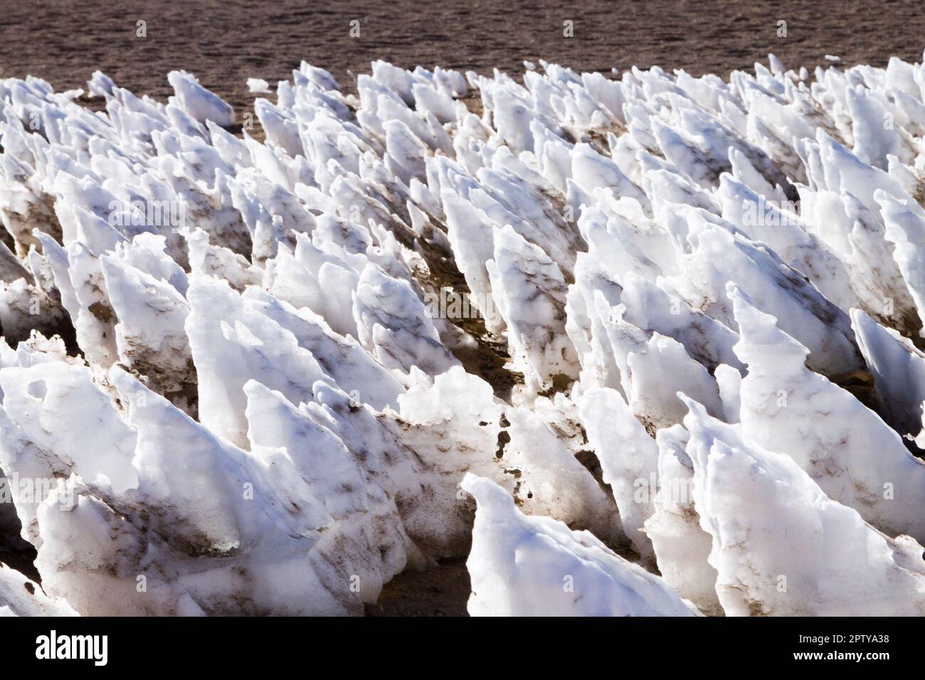 Ice formations modeled by wind from Bolivia. Andean plateau Stock Photo ...