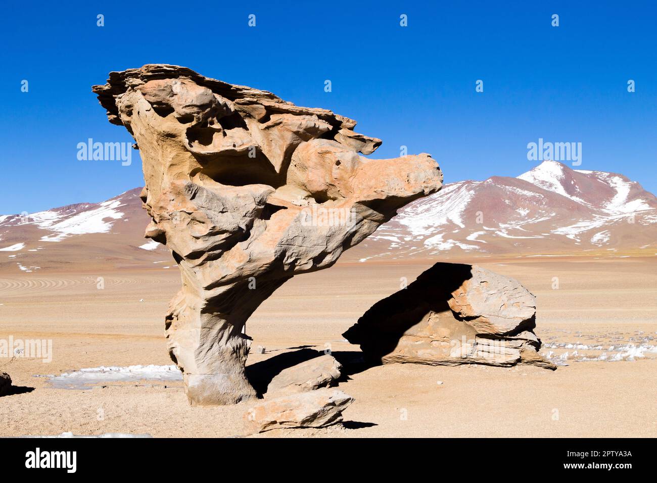 Stone Tree rock, Bolivia. Bolivian landmark. Arbol de Piedra Stock ...
