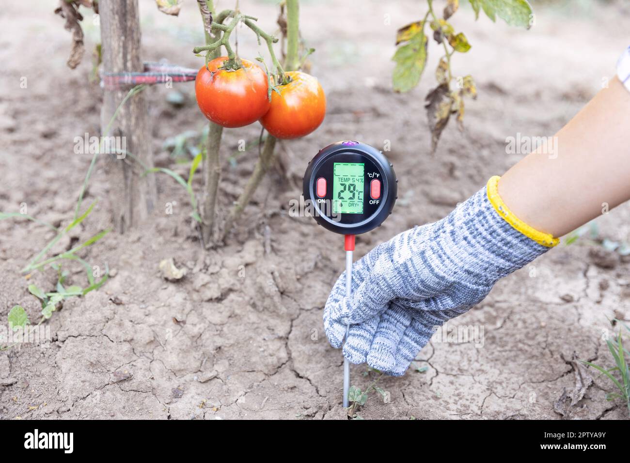 Soil temperature, moisture content and environmental humidity ...