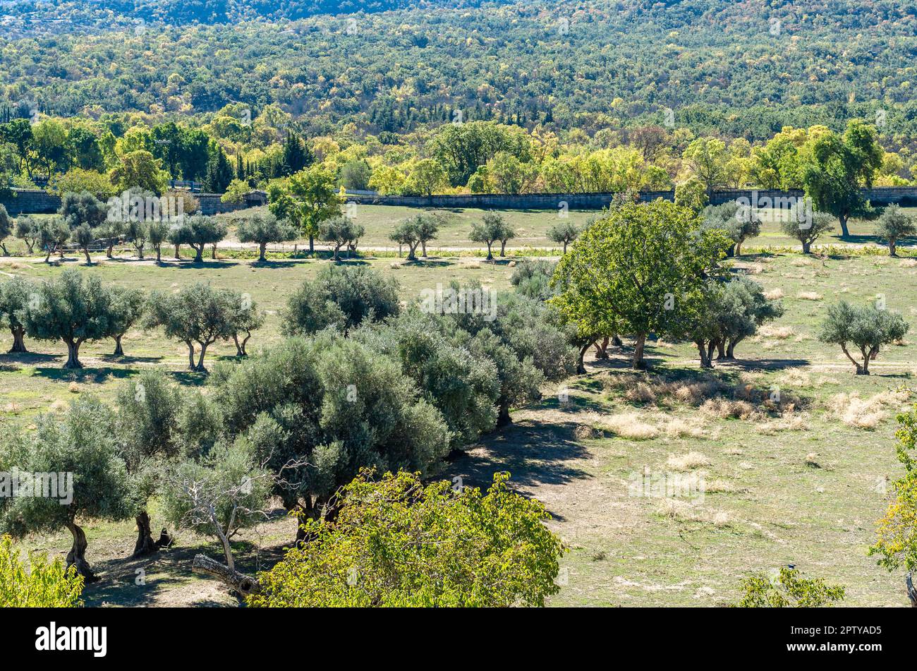 Iberian Peninsula Landscape