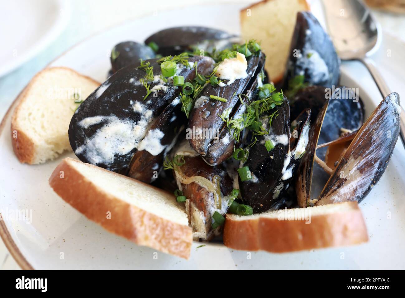 Black Sea mussels with herbs and toasts in restaurant Stock Photo - Alamy