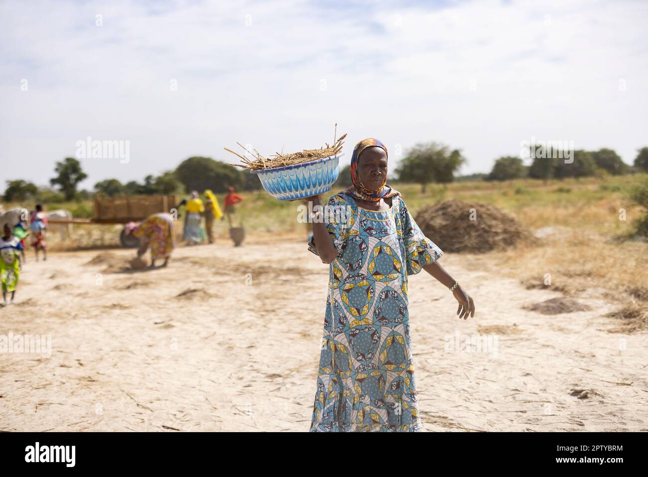 A muslim woman in traditional colorful dress winnows her millet grain ...
