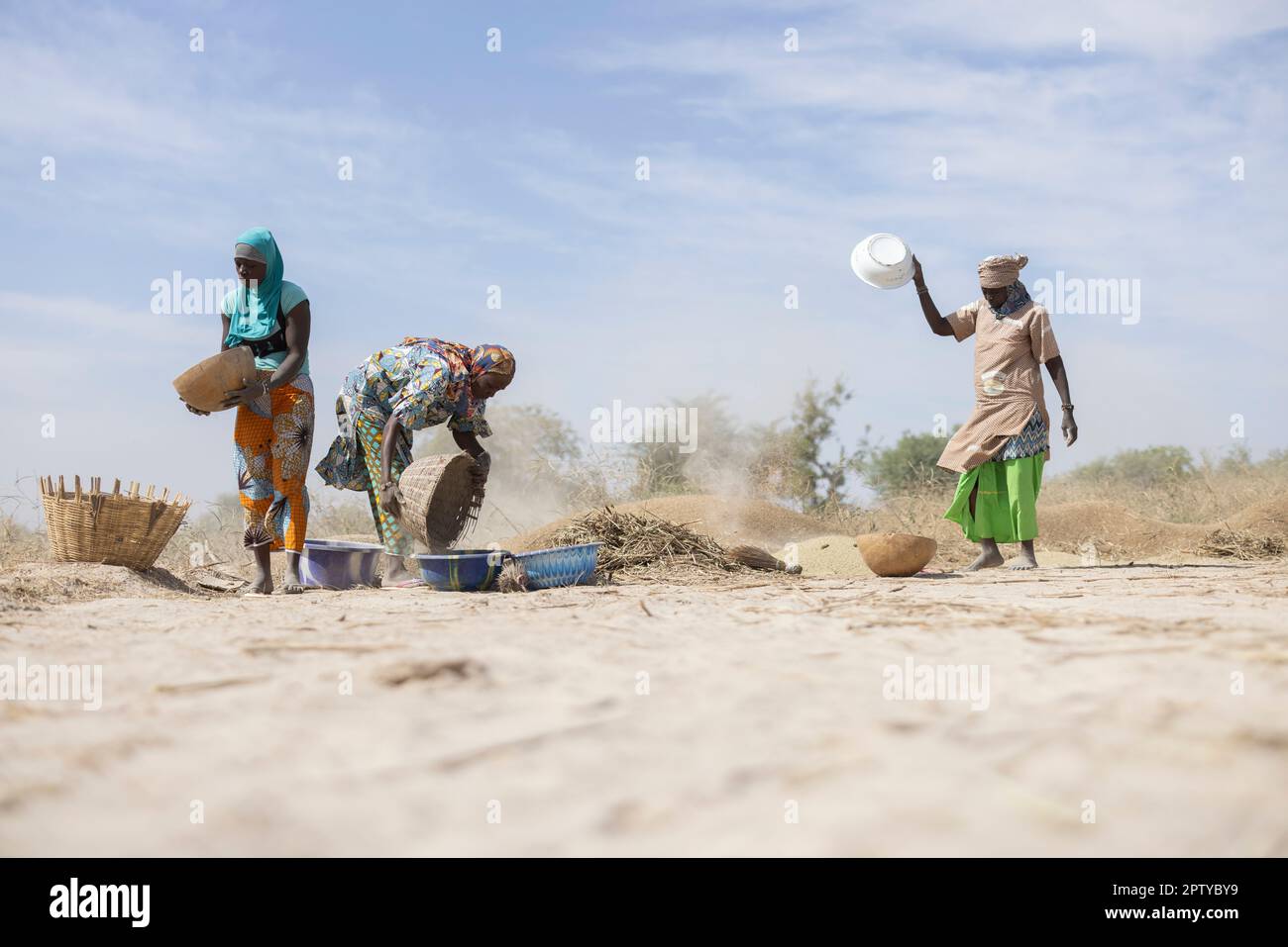 African woman winnowing millet hi-res stock photography and images - Alamy
