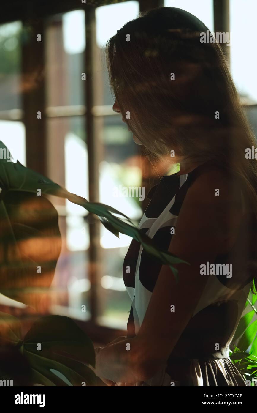 silhouette of a girl inside the house, view from the window Stock Photo ...