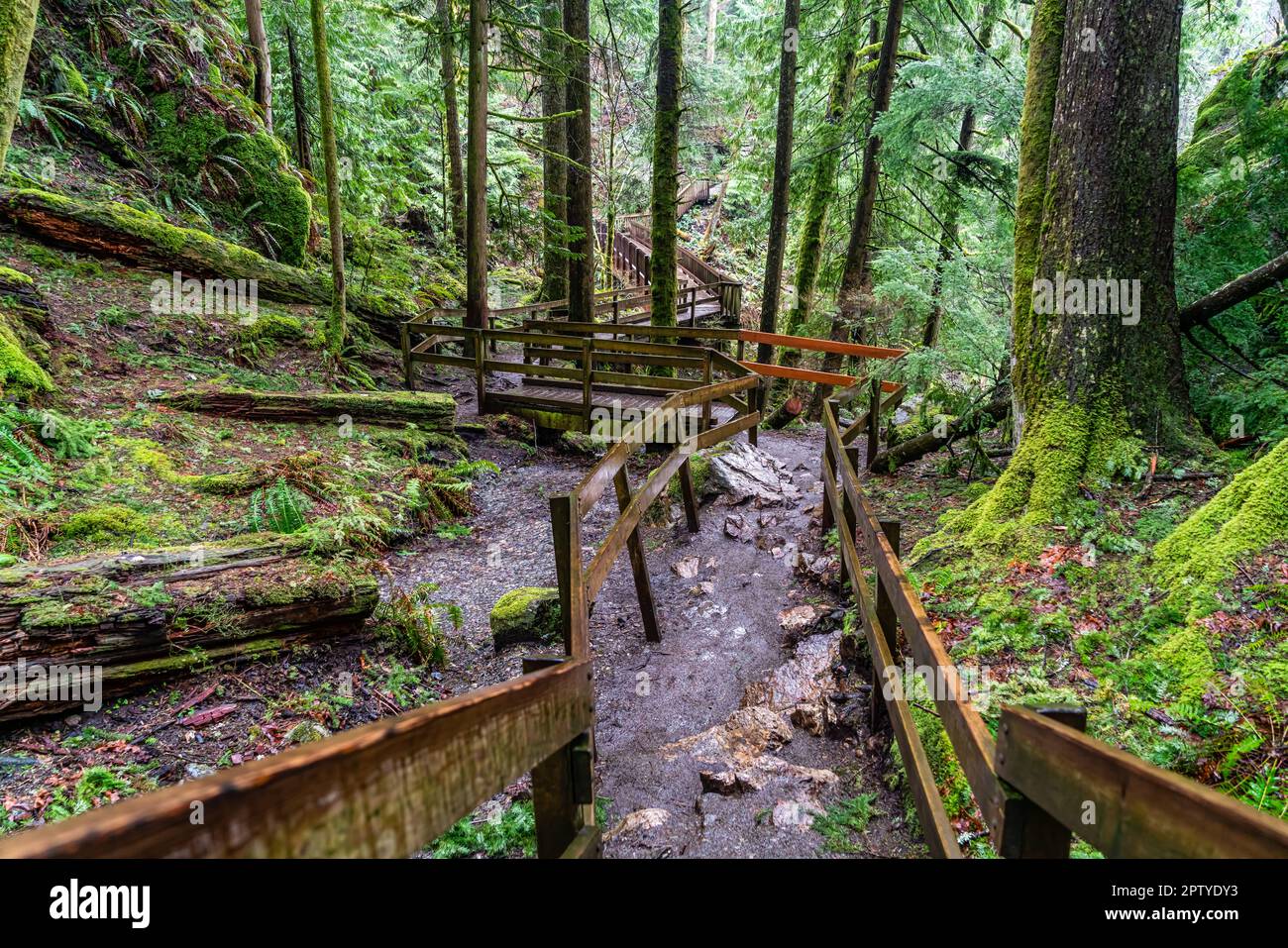 A veiw of the trail and a wooden walking bridge at Twin Falls in ...