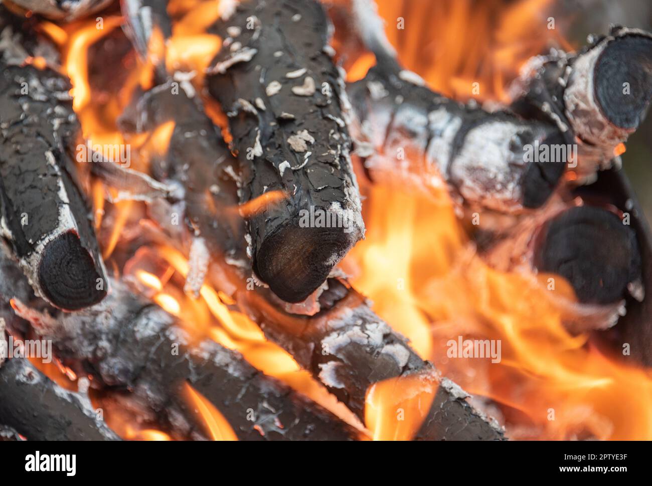 Burning logs and tree branches close-up. Rural, garden, country Stock ...