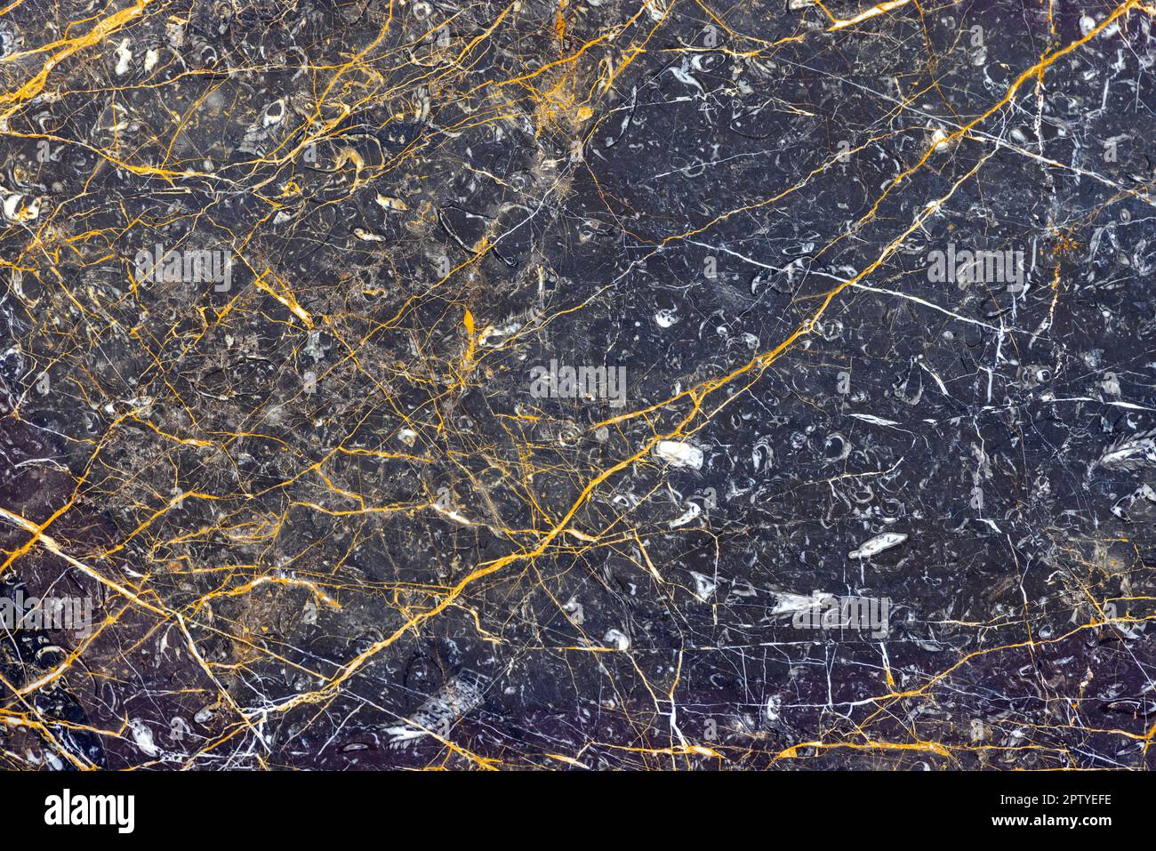 Luxurious Italian Black Marble Stone With Golden Veins Background Stock ...