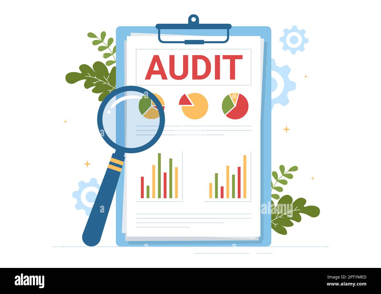 Business Audit of Documents with Charts, Accounting, Calculations and ...