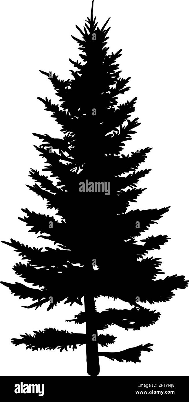 Fir Tree Silhouette Stock Vector Image & Art - Alamy