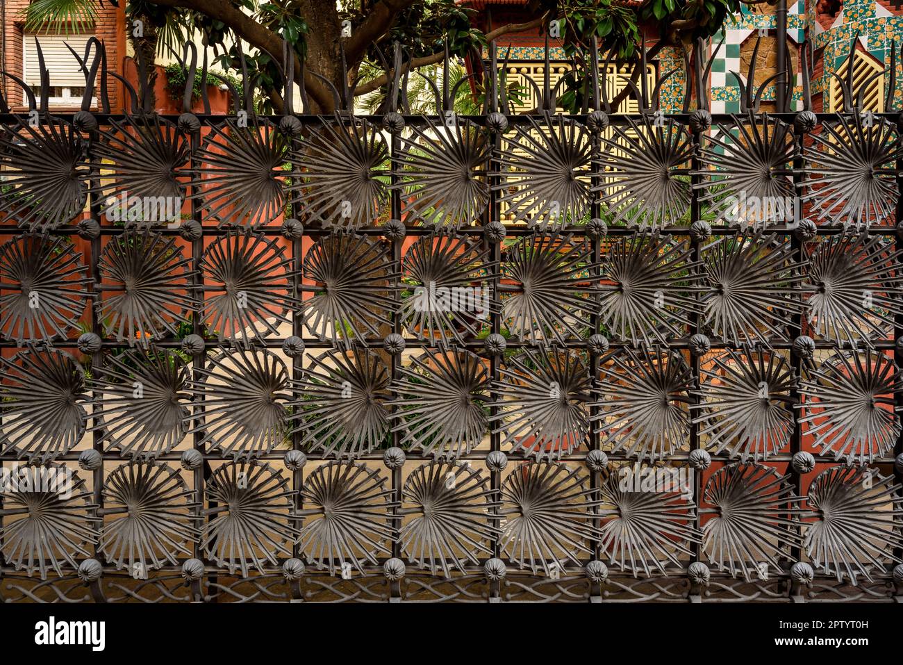 Wrought iron fence of the Casa Vicens with Mediterranean dwarf palm ...