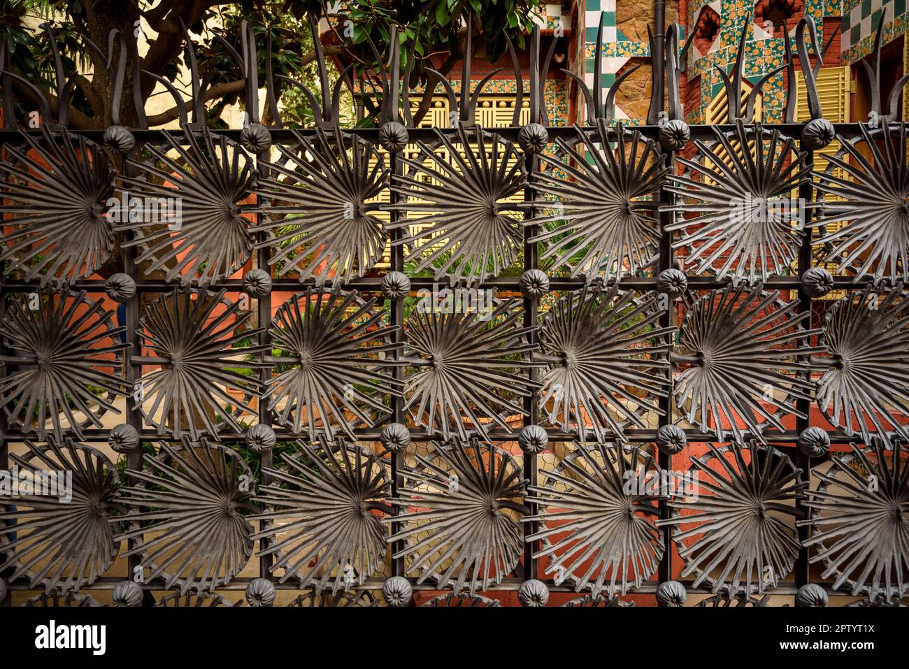 Wrought iron fence of the Casa Vicens with Mediterranean dwarf palm ...