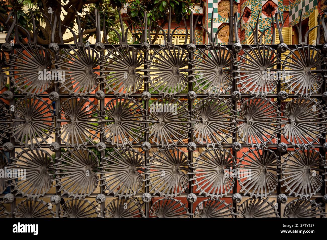 Wrought iron fence of the Casa Vicens with Mediterranean dwarf palm ...