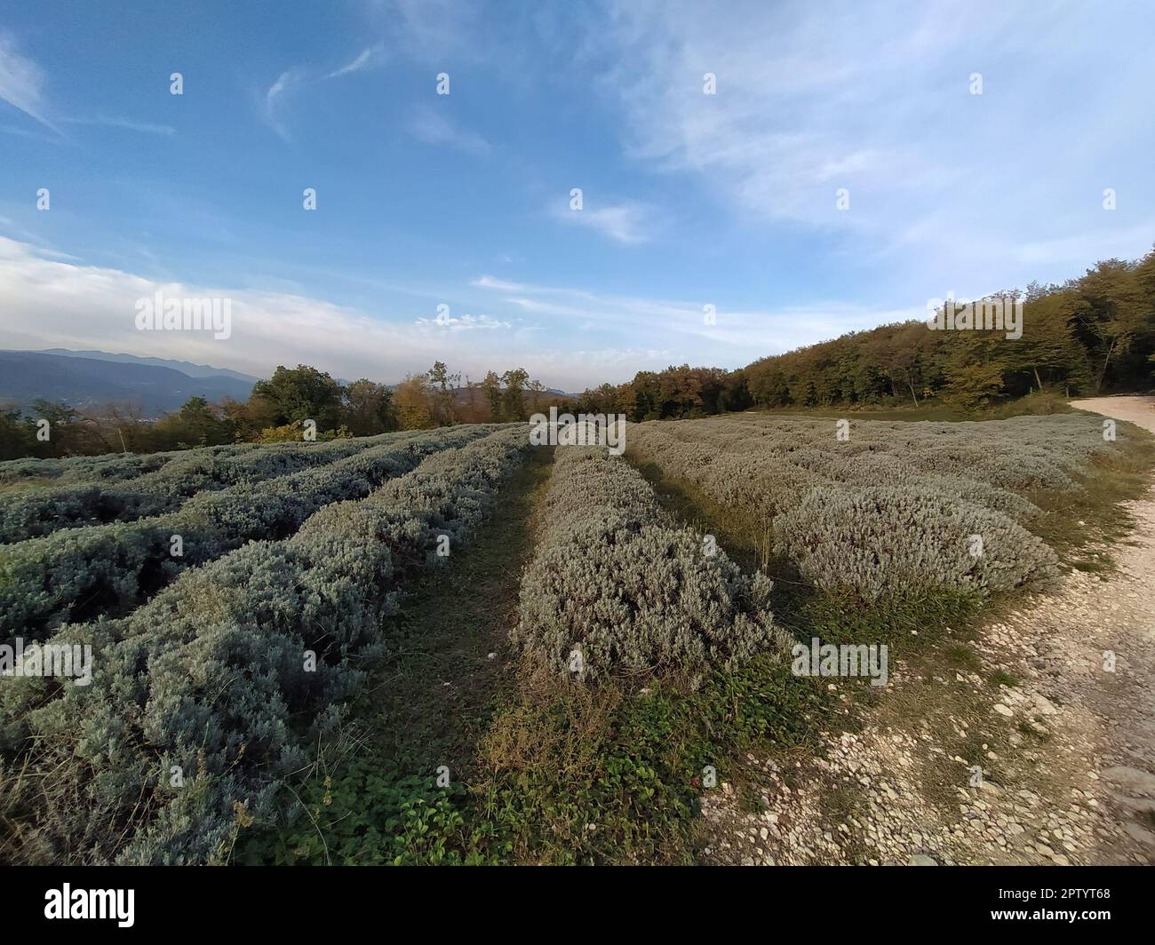 A walk in Verona city countryside, Italy Stock Photo - Alamy