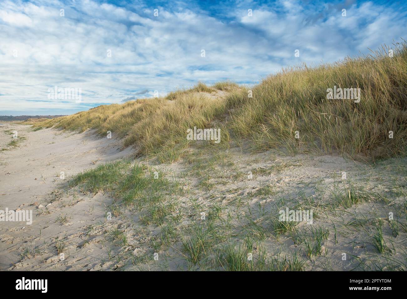 Beach crossing in Denmark by the sea. Dunes, sand water and clouds on ...