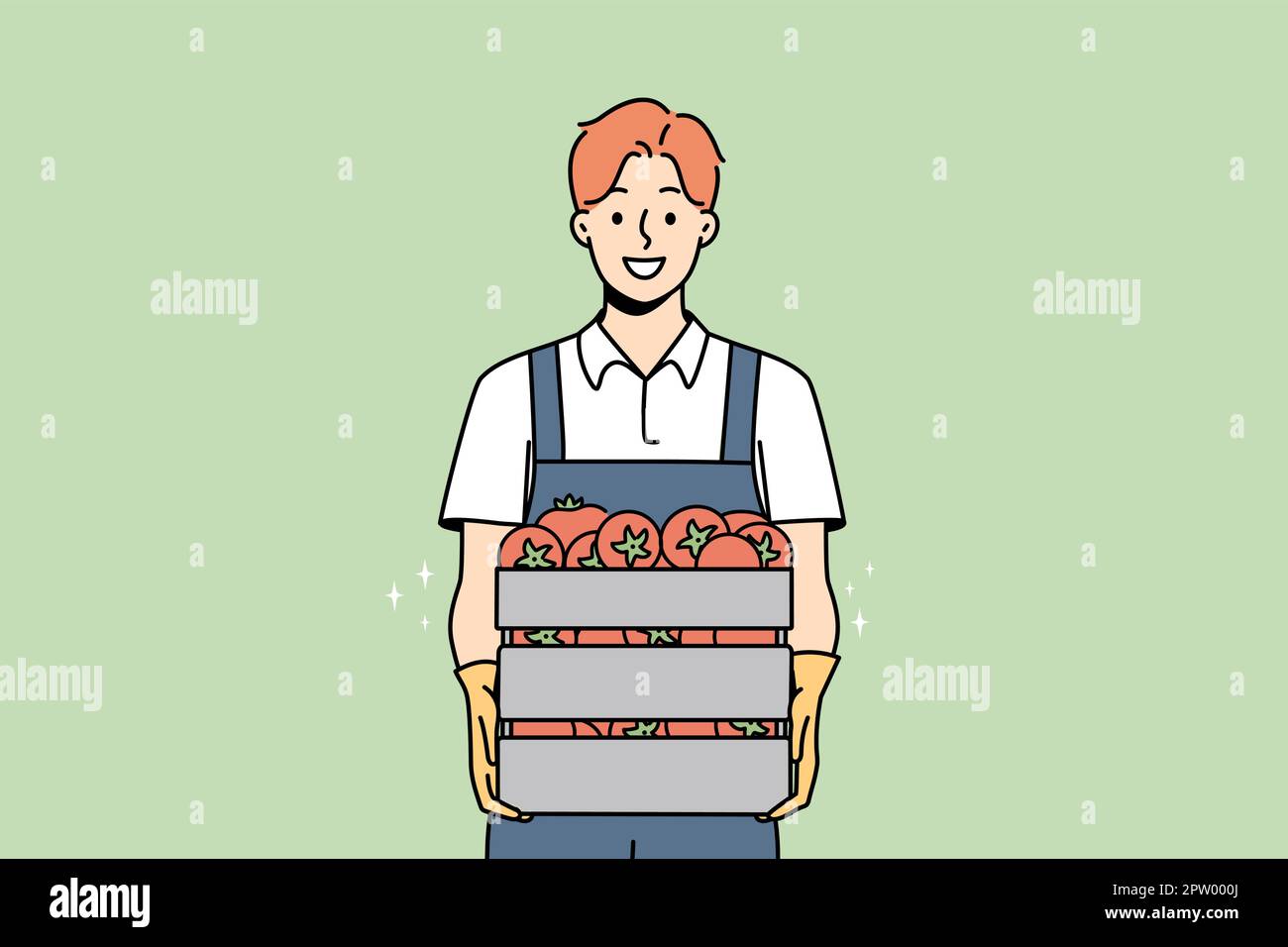 Container tomato plant Stock Vector Images - Alamy