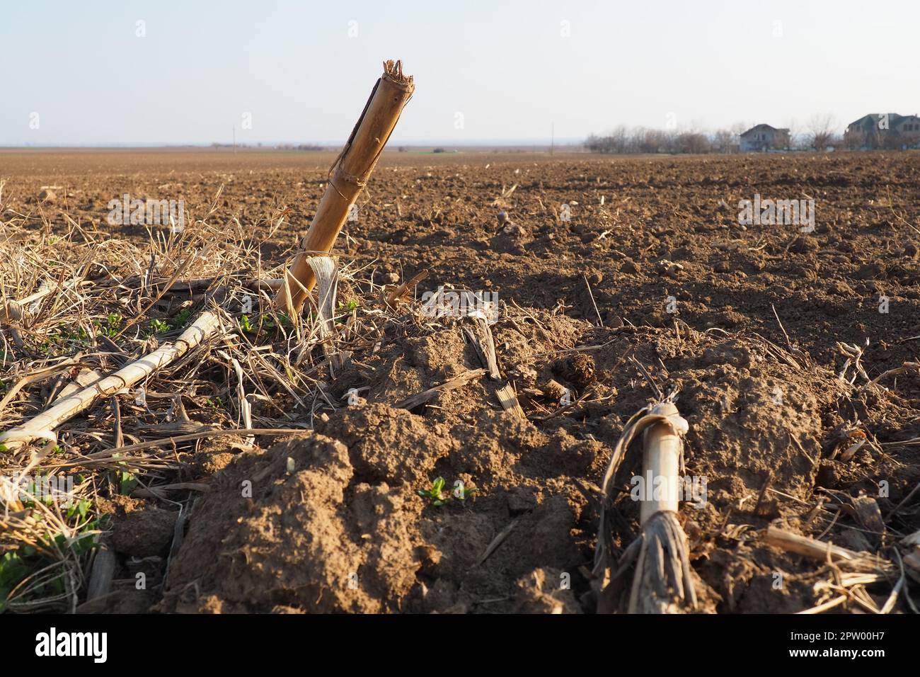 Arable field ready for spring agricultural work. Plowed black earth ...