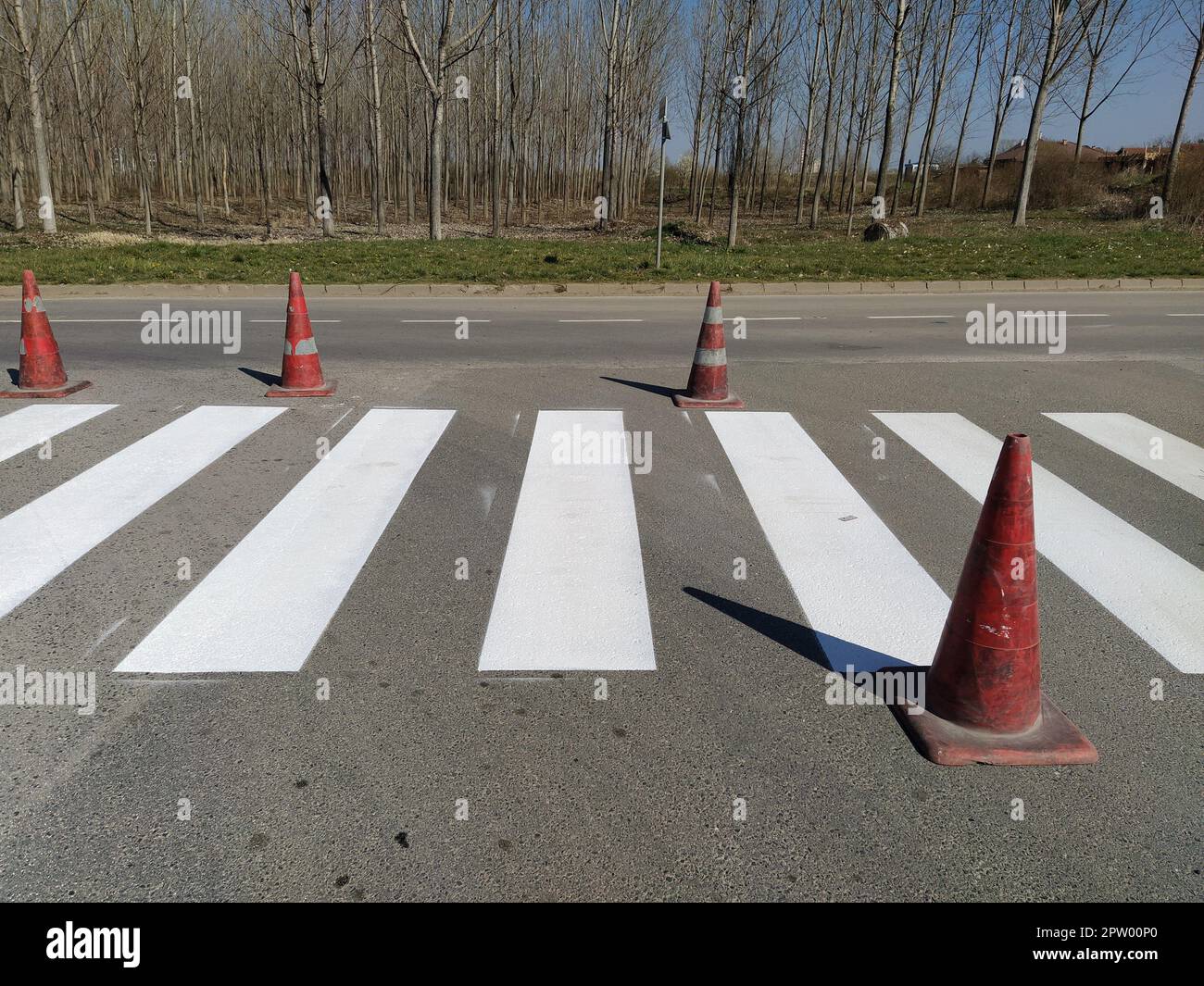 Painting pedestrian crossings with new paint. Road warning plastic ...