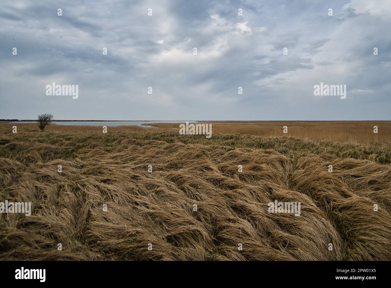 Bird lookout Pramort on the darss. wide landscape with view to the ...