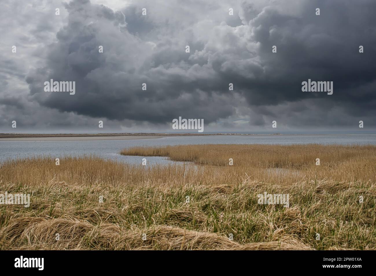 Bird lookout Pramort on the darss. wide landscape with dramatic clouds ...