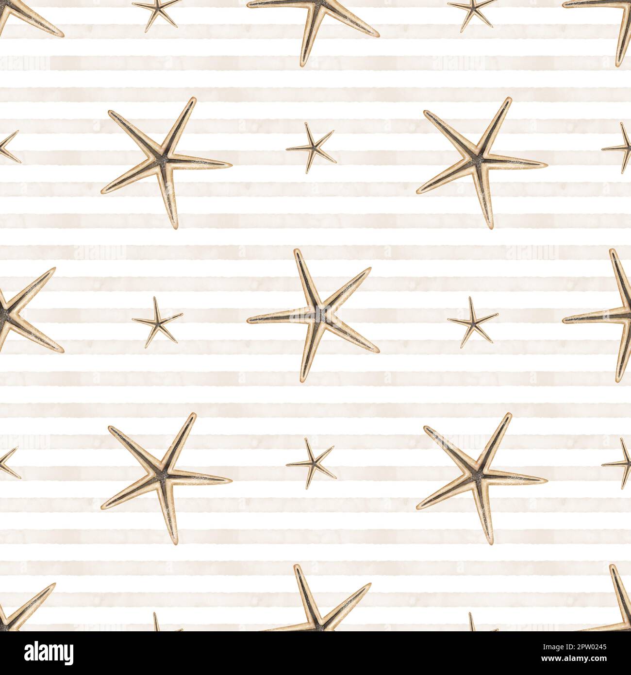 Star shell seamless Pattern on striped background. Hand drawn ...
