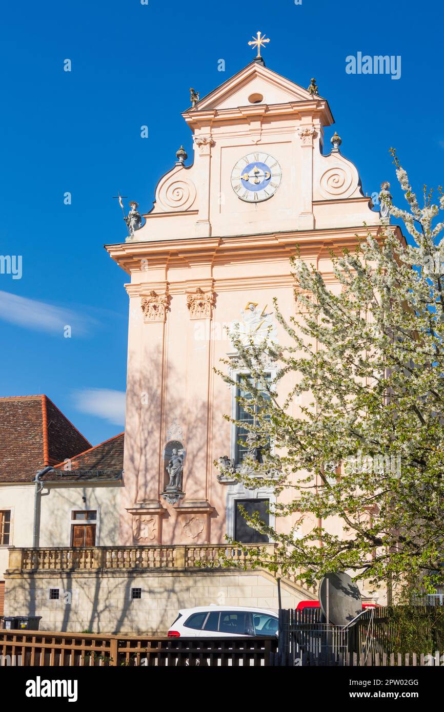 Mauerbach: Mauerbach Charterhouse, Carthusian church, flowering tree in ...
