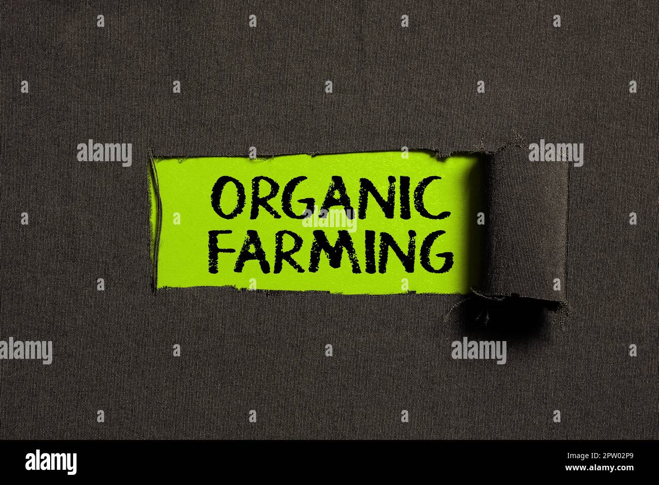 Hand writing sign Organic Farming, Business showcase agricultural ...