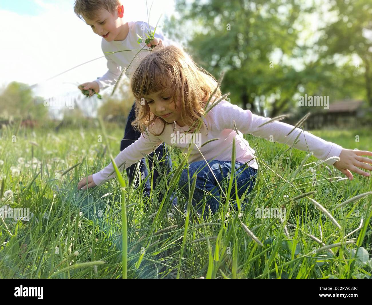 Boy and girl are playing in the meadow. Children lean in the green ...