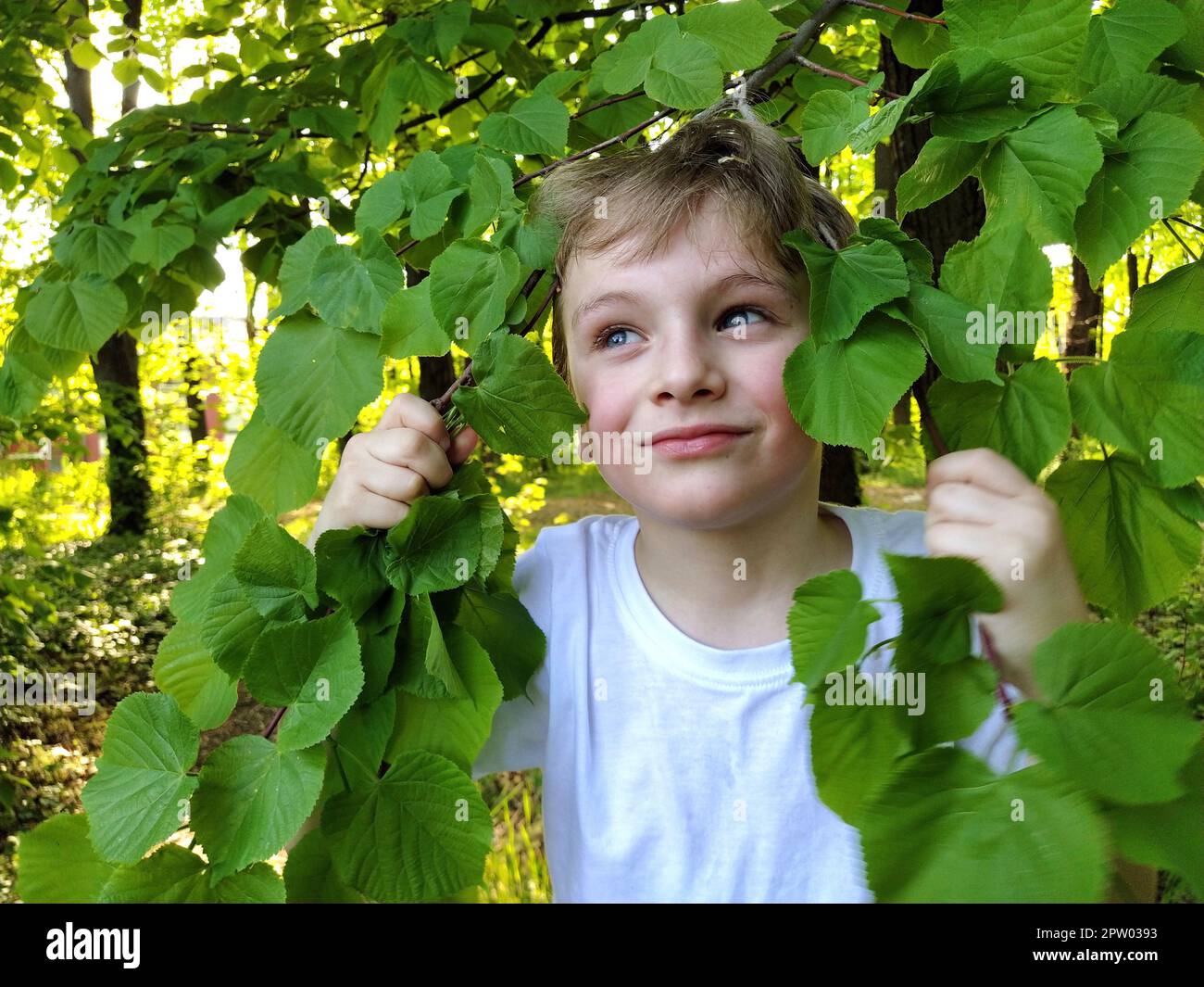 Beautiful blond boy in the forest. A baby peeks out from behind the ...