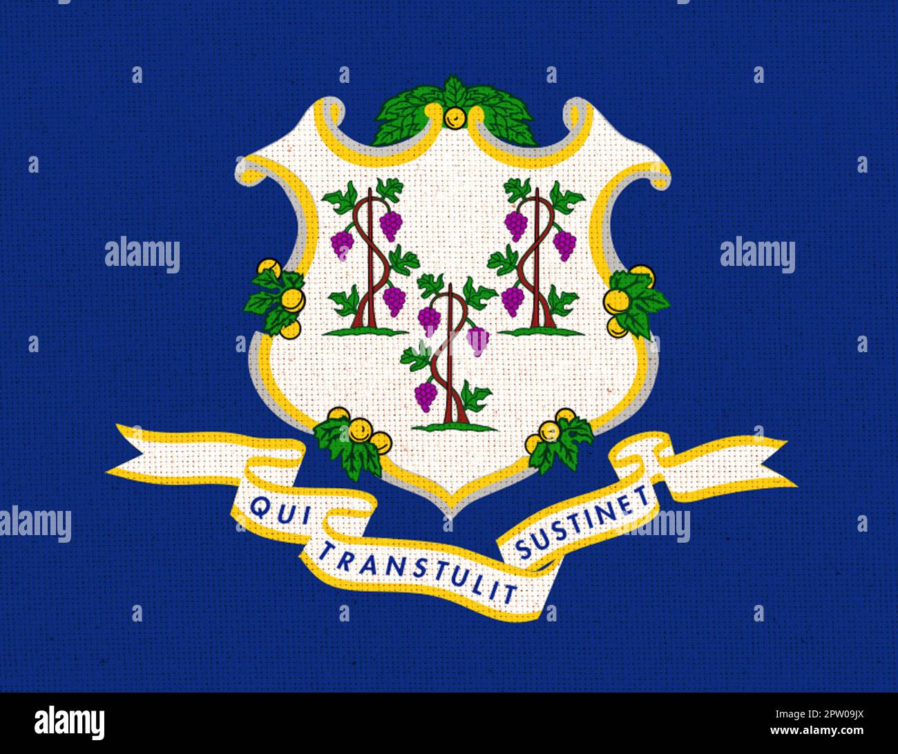 Flag of American state Connecticut. Flags of the U.S. states Fabric ...
